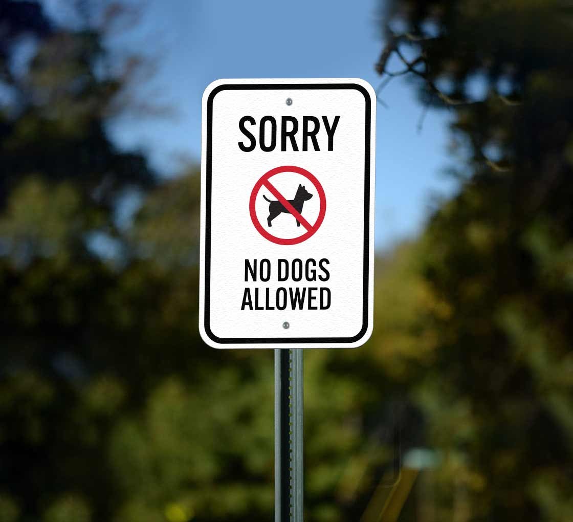 no dogs allowed