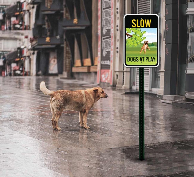 Dogs at Play Aluminum Sign (Non Reflective)