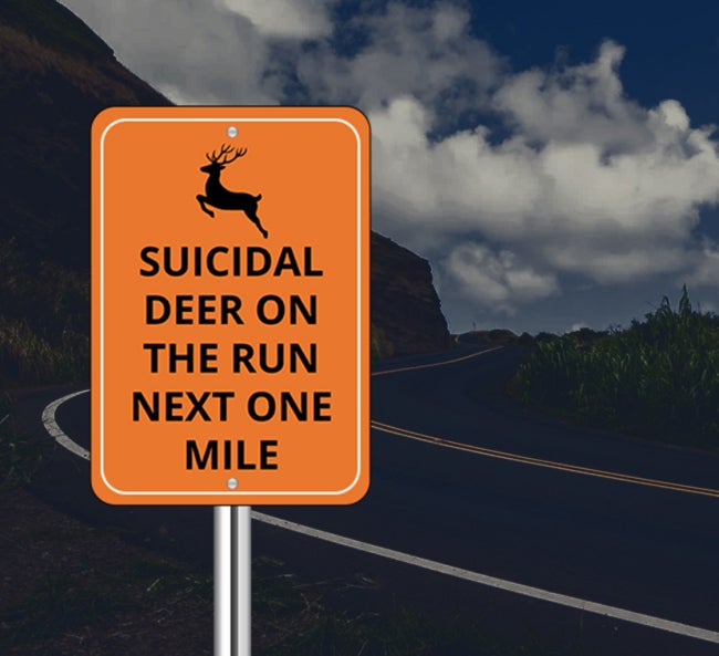 Funny Real Traffic Signs